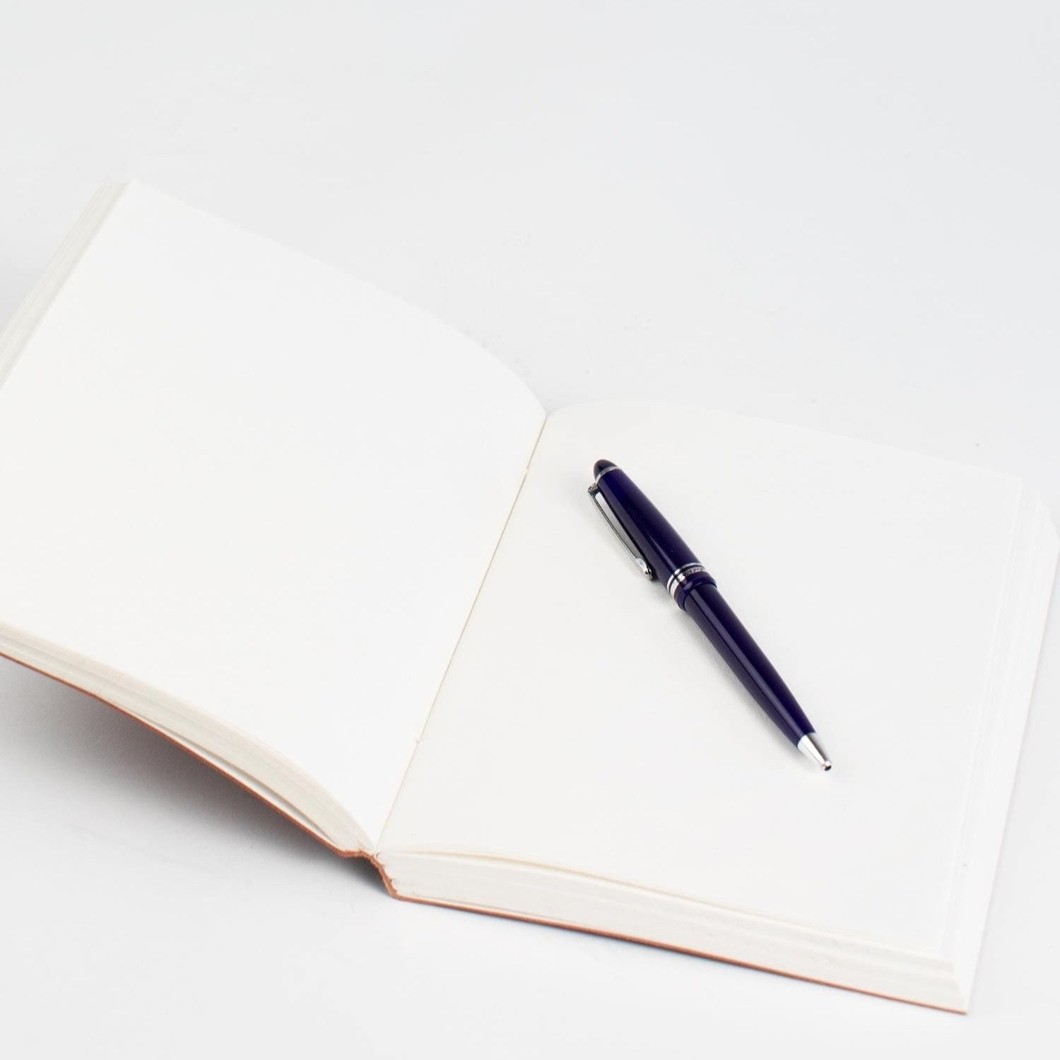 Lead the Way Journal – Better World Bio